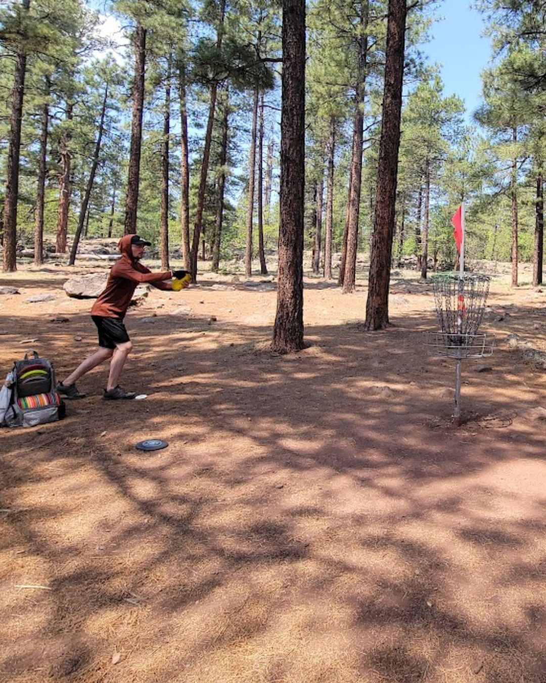 The BEST Disc Golf Putts from the 2024 Season – Disc Golf in Flagstaff